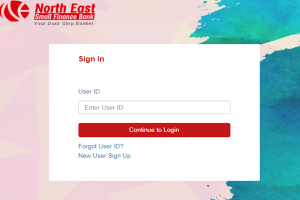 NESFB Net Banking Unleashed: Your Gateway to Effortless Digital Finance ...