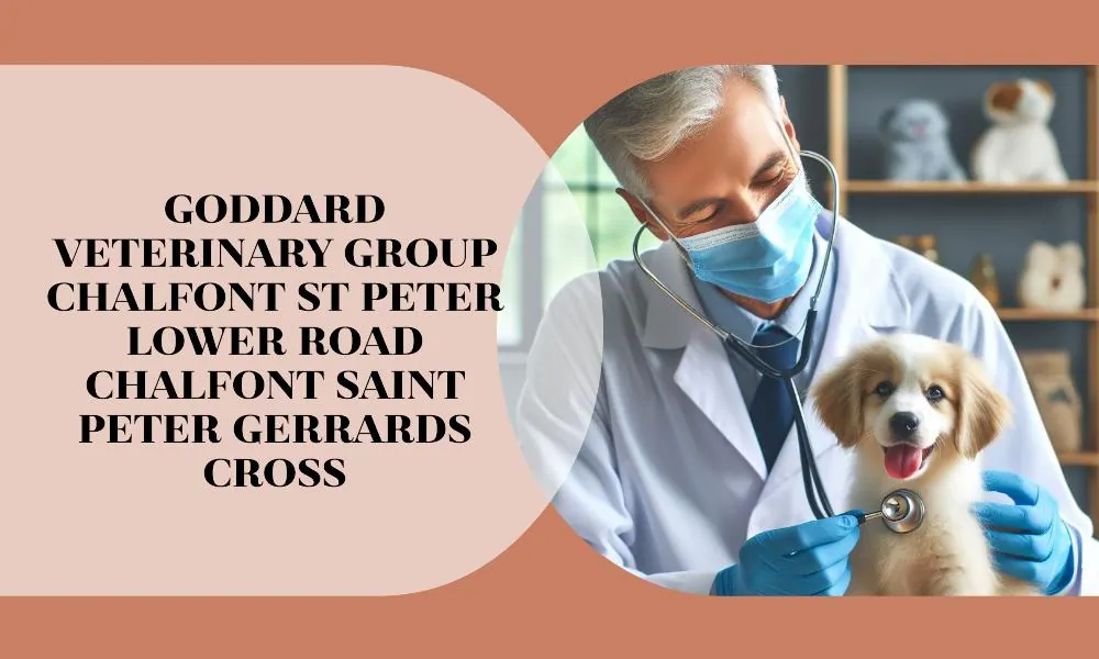 Exemplary Veterinary Care at Goddard veterinary group Chalfont St Peter ...